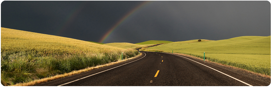 WL Markers, Snow-plowable Raised Pavement Markers in roads otherwise ...
